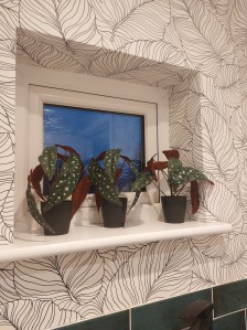 Studio Nine – A space for all